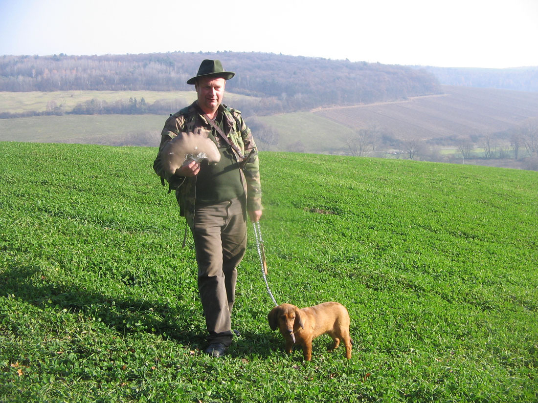 Poľovné psy – Poľovnícke združenie Srnka