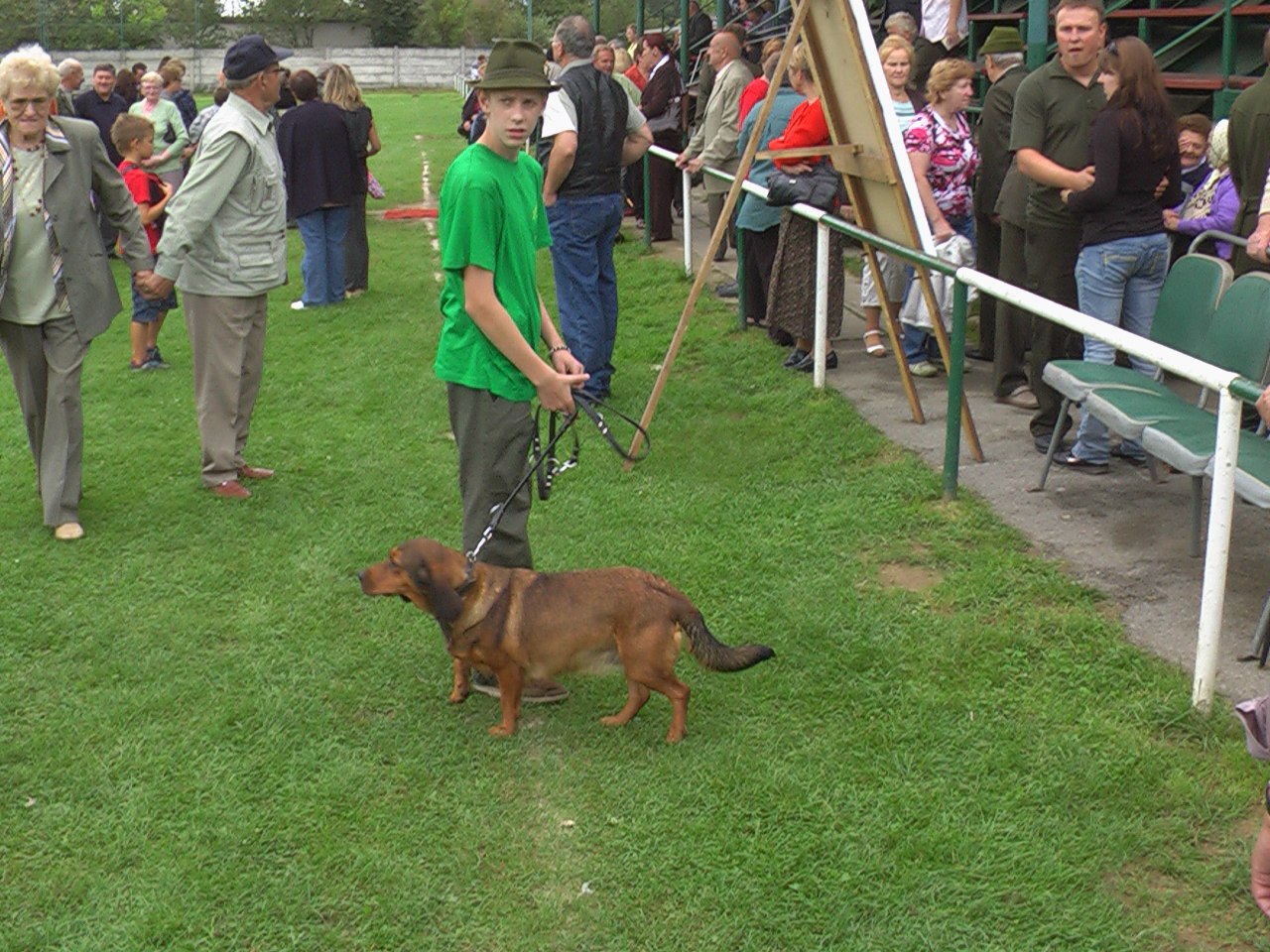 Poľovné psy – Poľovnícke združenie Srnka